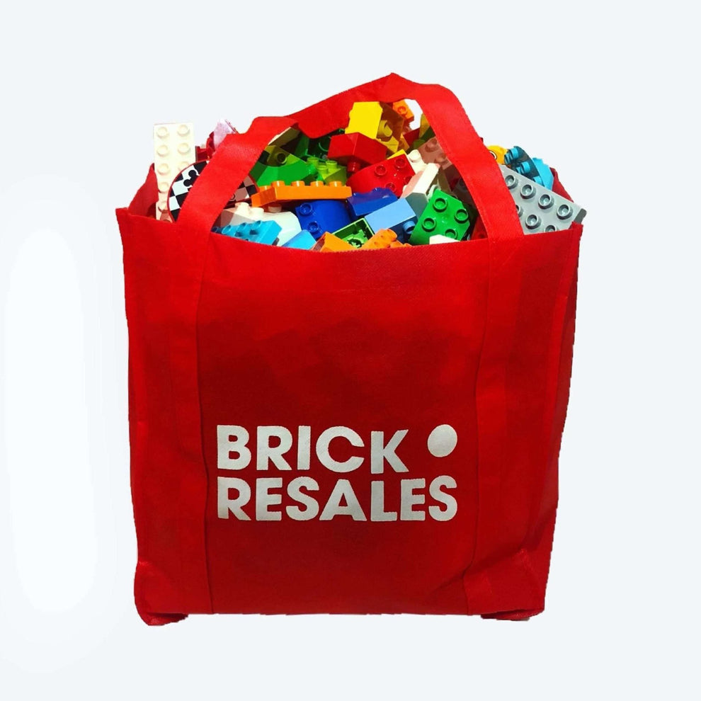 School Bulk LEGO Pack (small School) – BrickResales